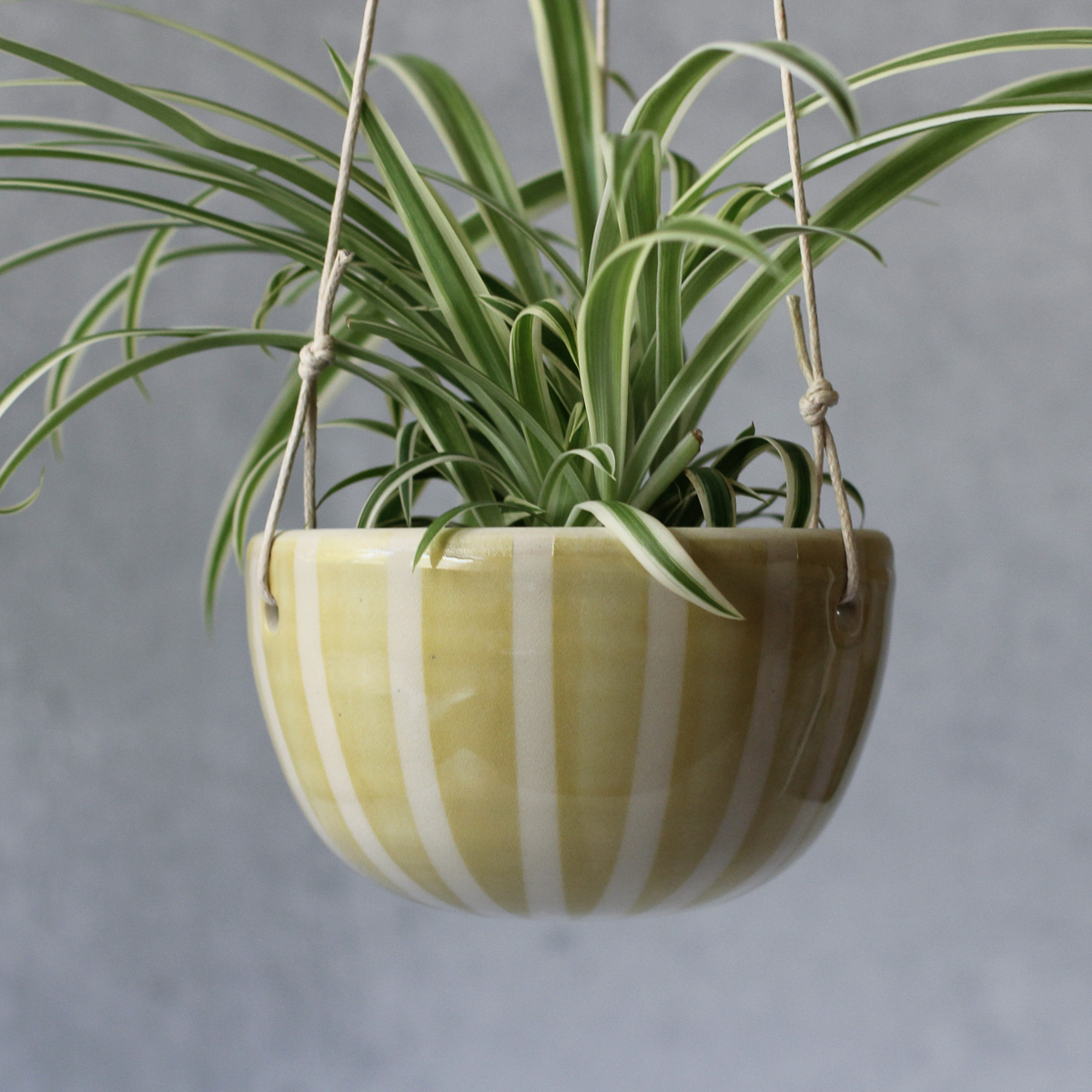 Hanging Planter, Small – Goldenrod Yellow Stripe – Abby Berkson Ceramics